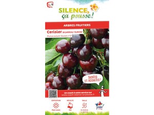 Cerisier bigarreau Duroni | Silence, ça pousse