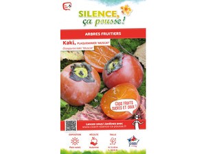 Kaki, Plaqueminier Muscat | Silence, ça pousse