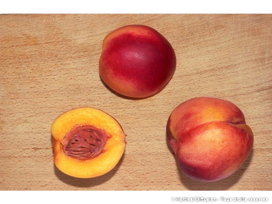 Nectarinier Nectared | Silence, ça pousse