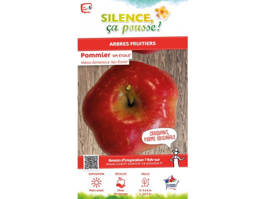 Pommier Api étoilé | Silence, ça pousse