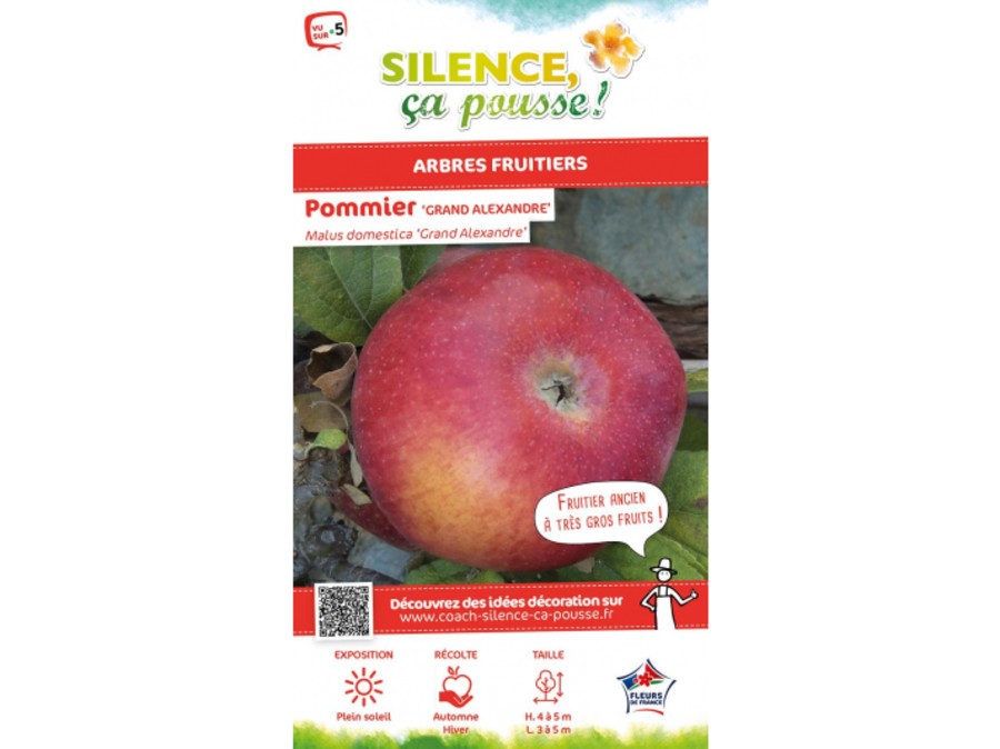 Pommier Grand Alexandre | Silence, ça pousse