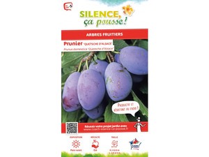 Prunier Quetsche d'Alsace | Silence, ça pousse