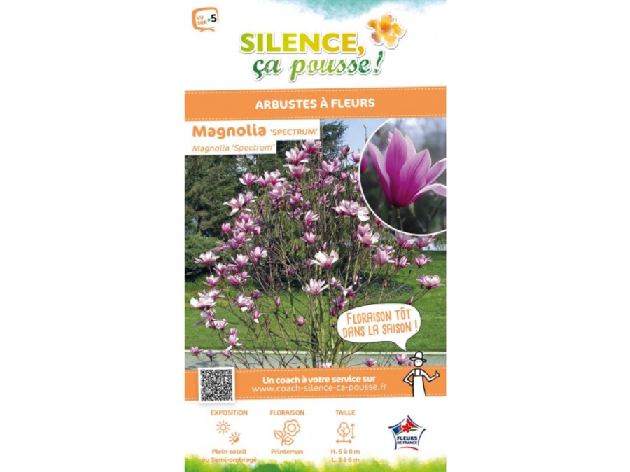 Magnolia Spectrum, Magnolier | Silence, ça pousse