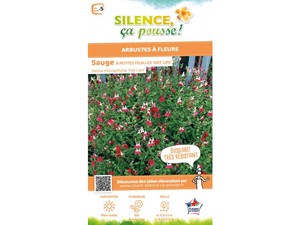 Sauge à petites feuilles Hot Lips | Silence, ça pousse