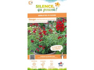 Sauge à petites feuilles Rêve Rouge® | Silence, ça pousse