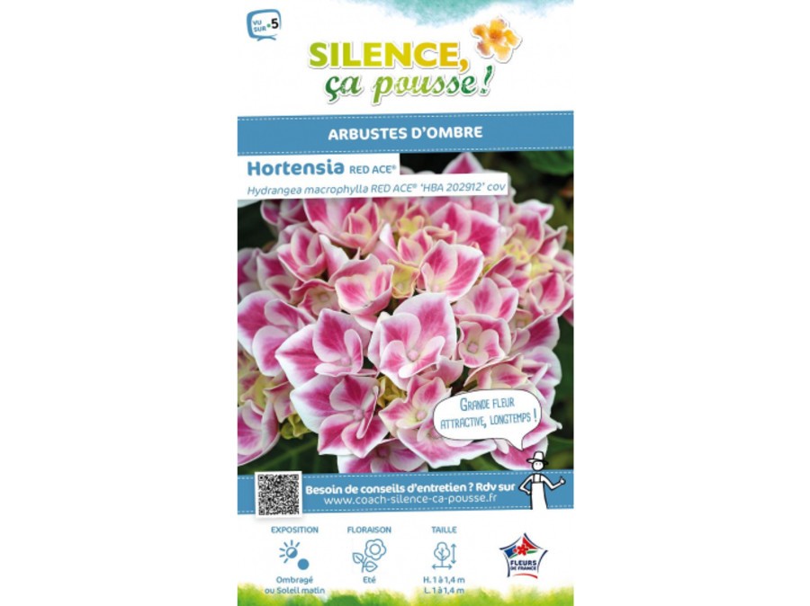Hortensia RED ACE® | Silence, ça pousse