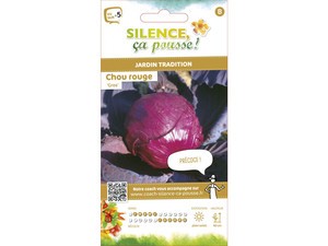 Chou rouge Gros | Silence, ça pousse