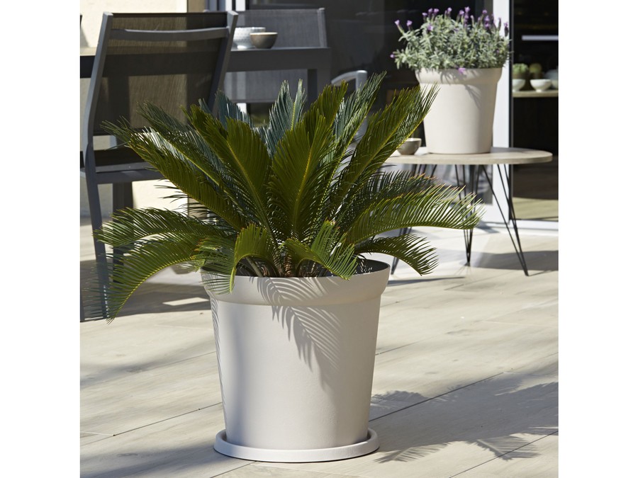 Pot Edge | Silence, ça pousse