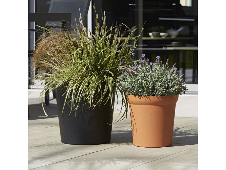 Pot Edge | Silence, ça pousse