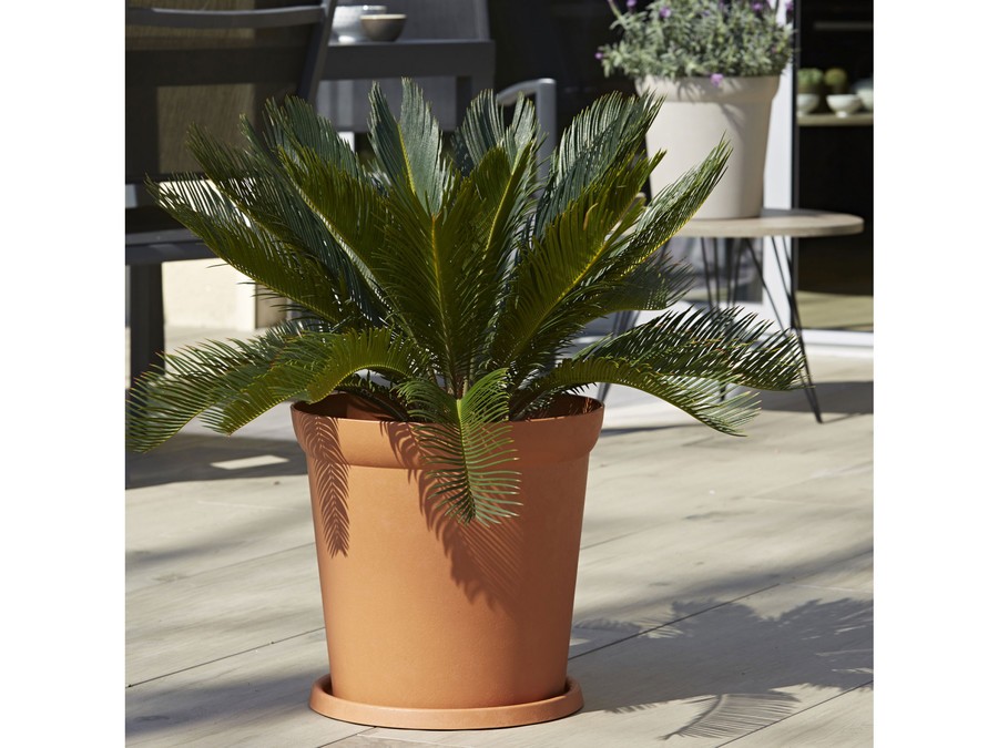 Pot Edge | Silence, ça pousse