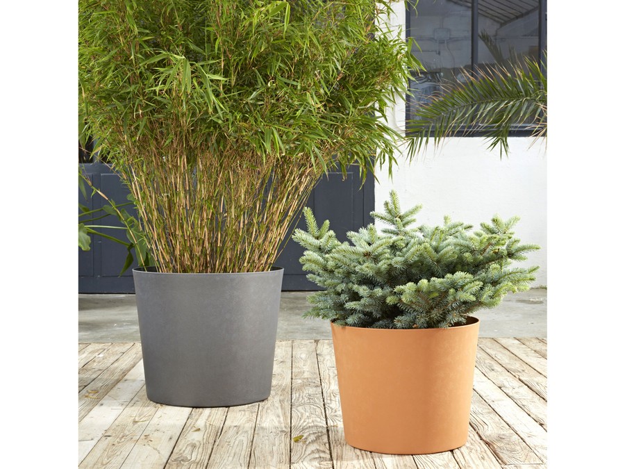 Pot conique | Silence, ça pousse