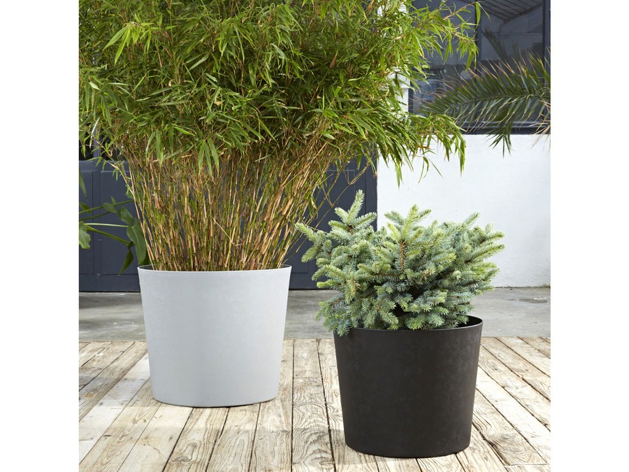 Pot conique | Silence, ça pousse