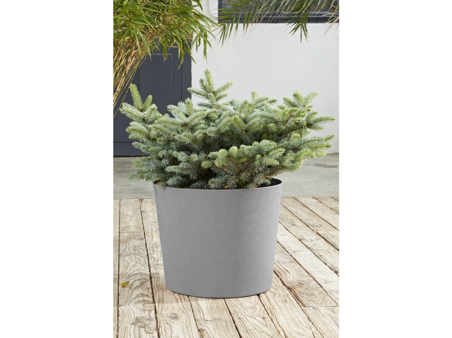 Pot conique | Silence, ça pousse