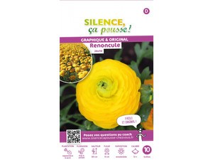 Renoncule Jaune | Silence, ça pousse