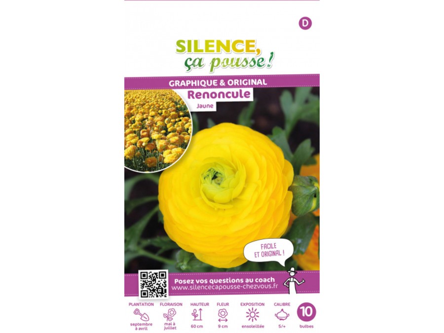 Renoncule Jaune | Silence, ça pousse