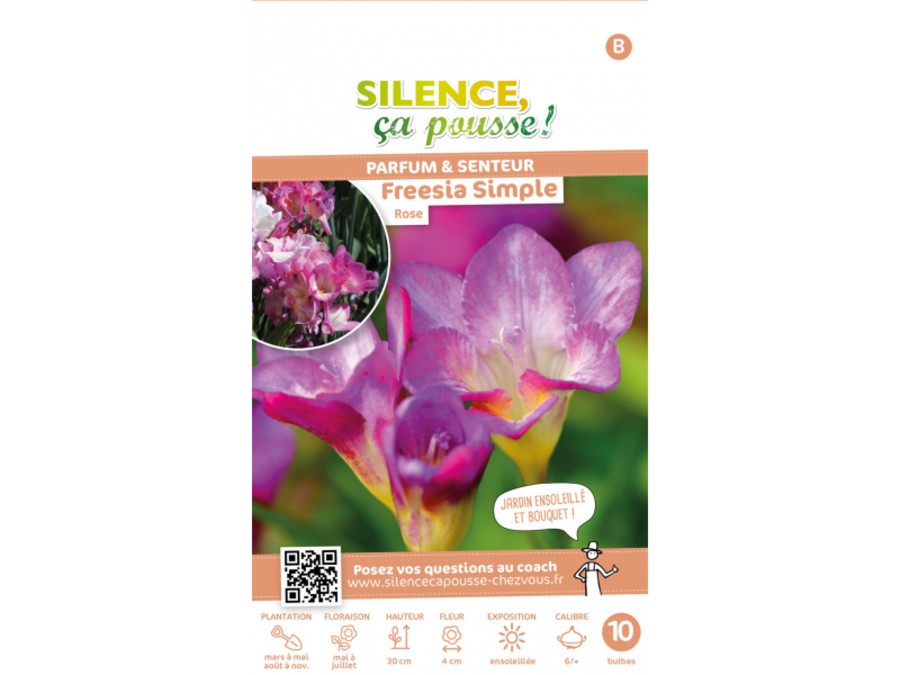 Freesia Simple Rose | Silence, ça pousse