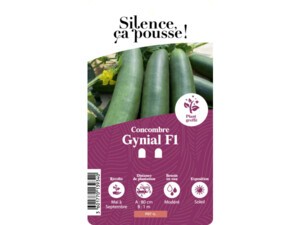 Concombre Gynial F1 | Silence, ça pousse