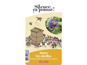 Centaurée des montagnes | Silence, ça pousse