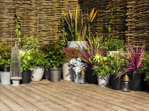 Création de jardin, balcons et terrasses | Silence, ça pousse