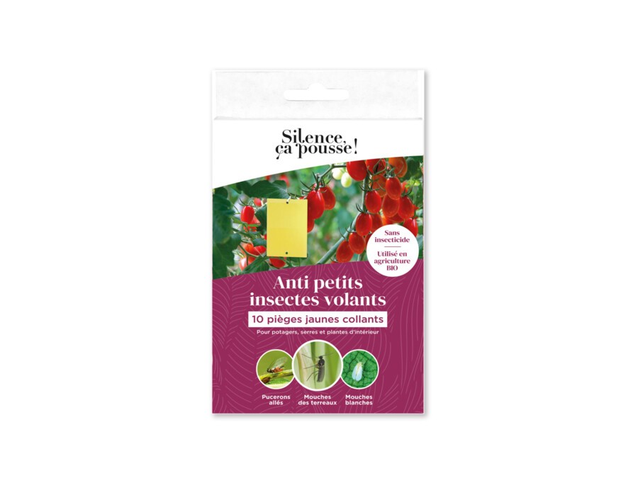 10 pièges jaunes collants | Silence, ça pousse